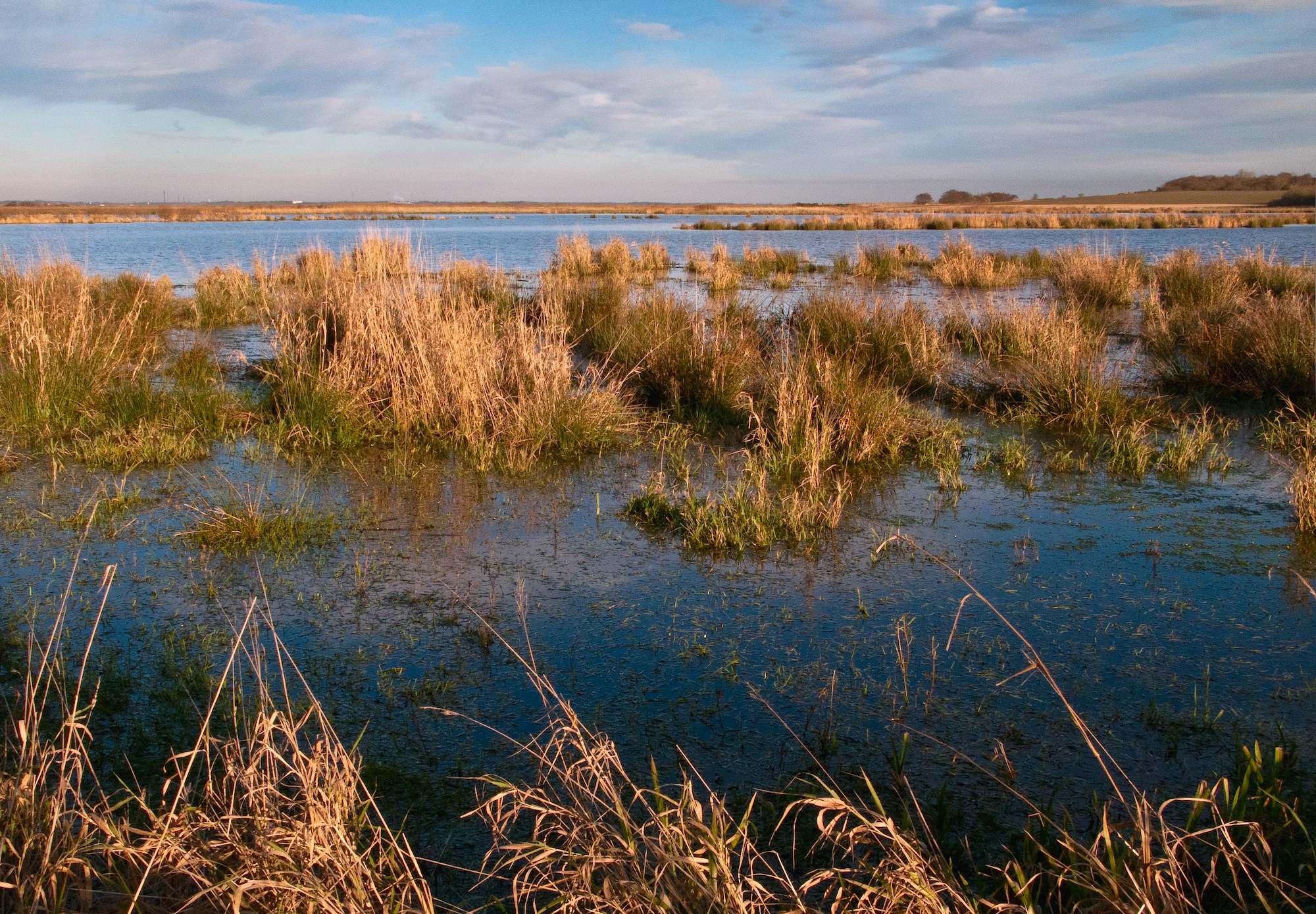 Naturnationalpark Skjern Floddelta